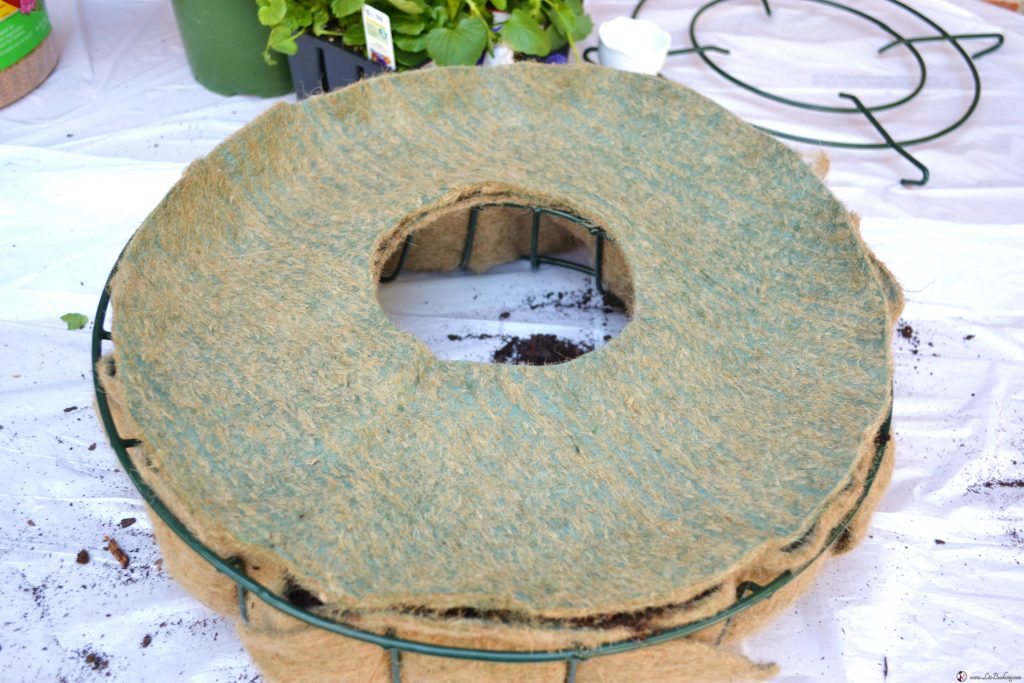 How to Make a Living Wreath - Liz Bushong