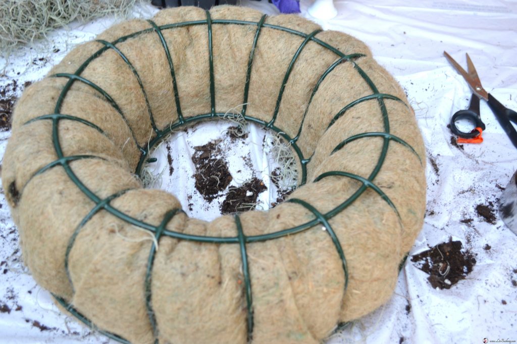 How to Make a Living Wreath - Liz Bushong