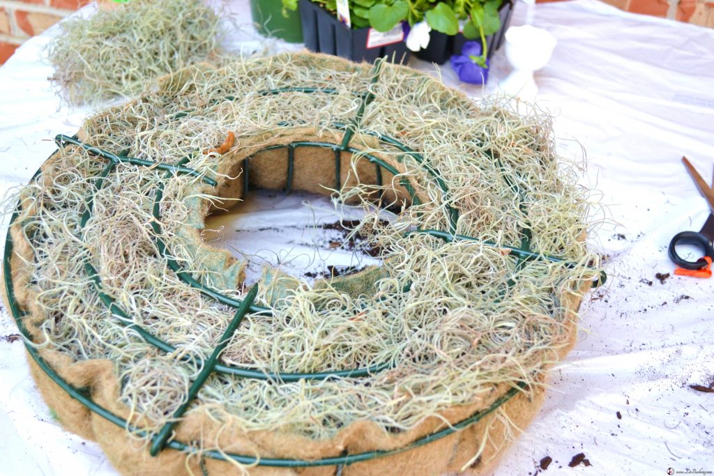 How to Make a Living Wreath - Liz Bushong