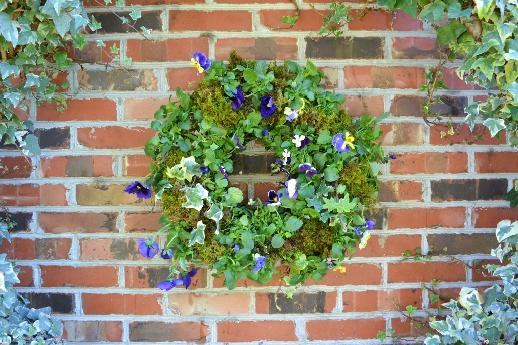 How to Make a Living Wreath - Liz Bushong