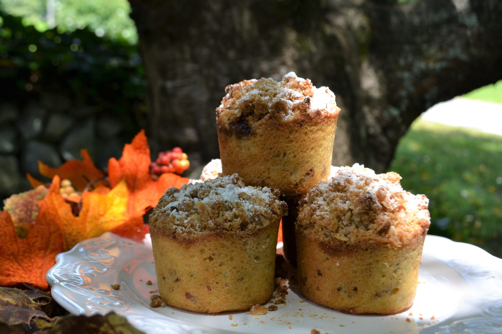 Apple Butter Pecan Muffins - Liz Bushong