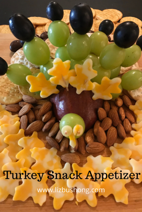 Turkey Snack Appetizer - Liz Bushong