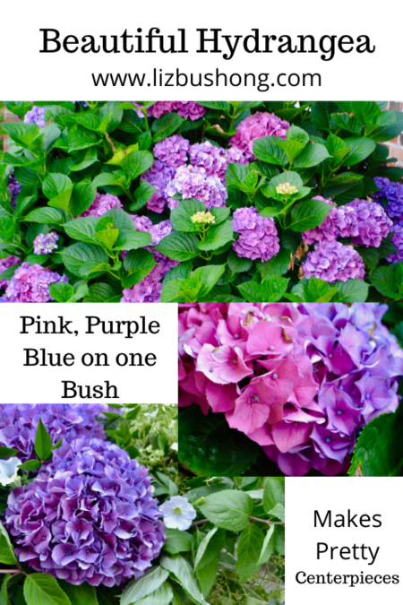 Blooms and Bucket| DIY Hydrangea Magnolia Bouquet - Liz Bushong