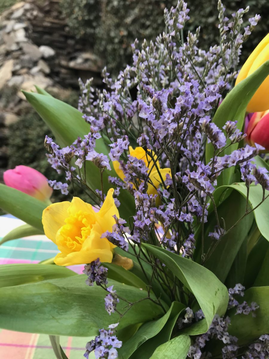 Easy Easter DIY Living Cabbage Vase - Liz Bushong