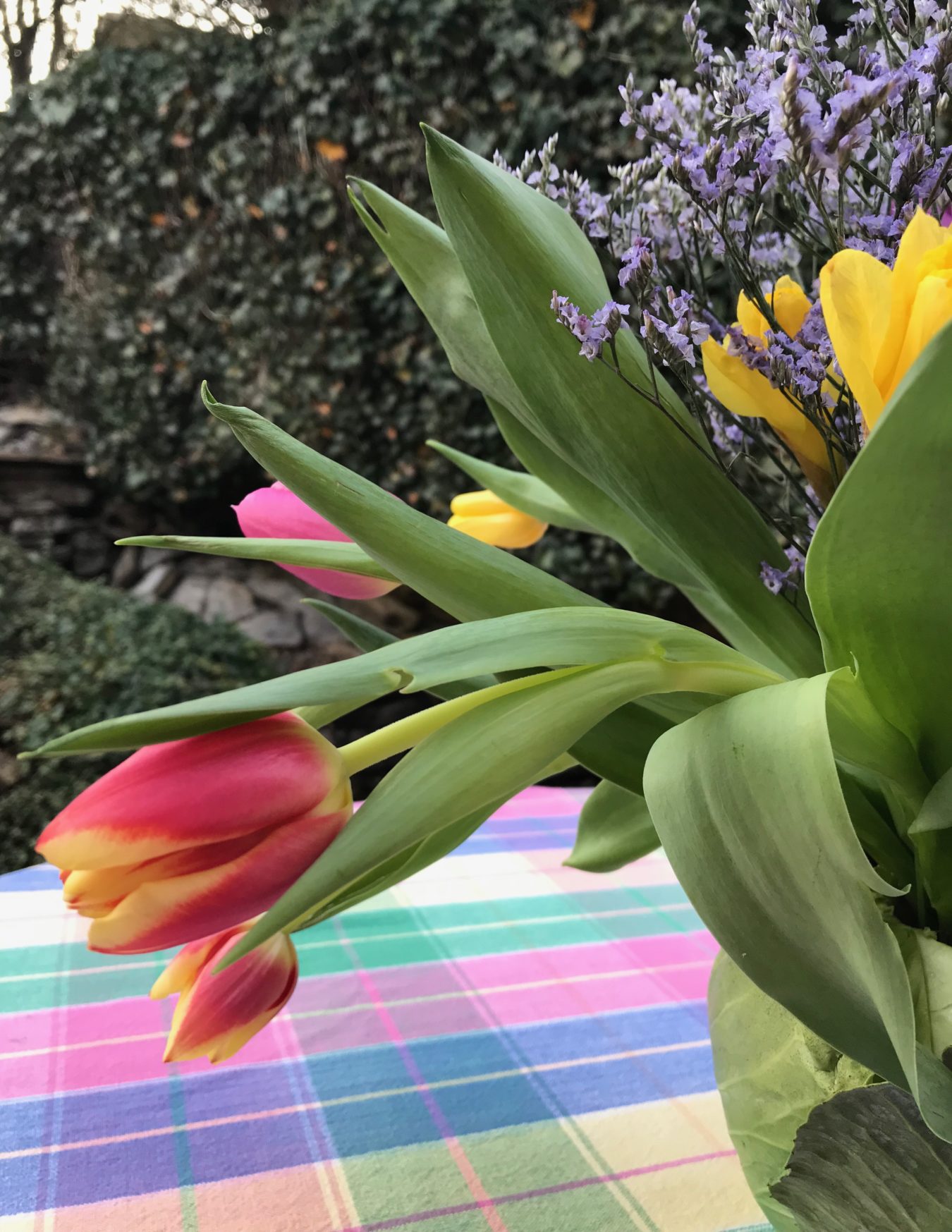 Easy Easter DIY Living Cabbage Vase - Liz Bushong