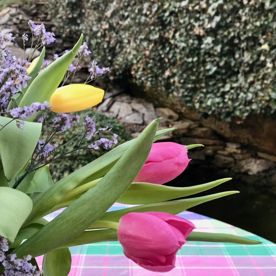 Easy Easter DIY Living Cabbage Vase - Liz Bushong