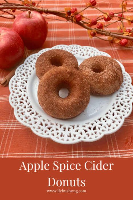 Apple Cinnamon Cider Donuts - Liz Bushong