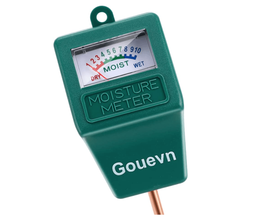 Gerber Daisy & Viola Centerpiece - Liz Bushong