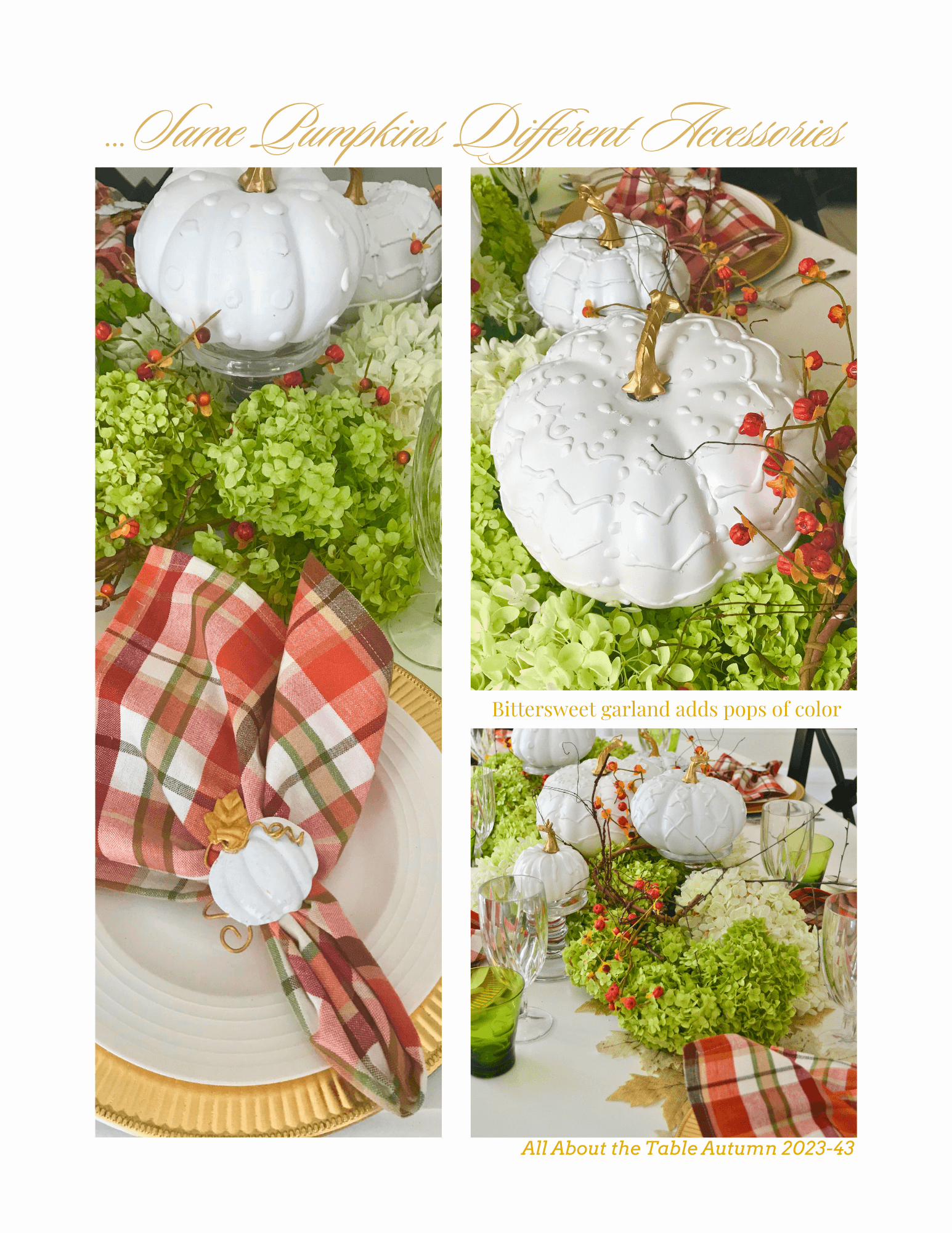 White & Gold Pumpkins with Bittersweet-Tablescape ideas lizbushong.com ...