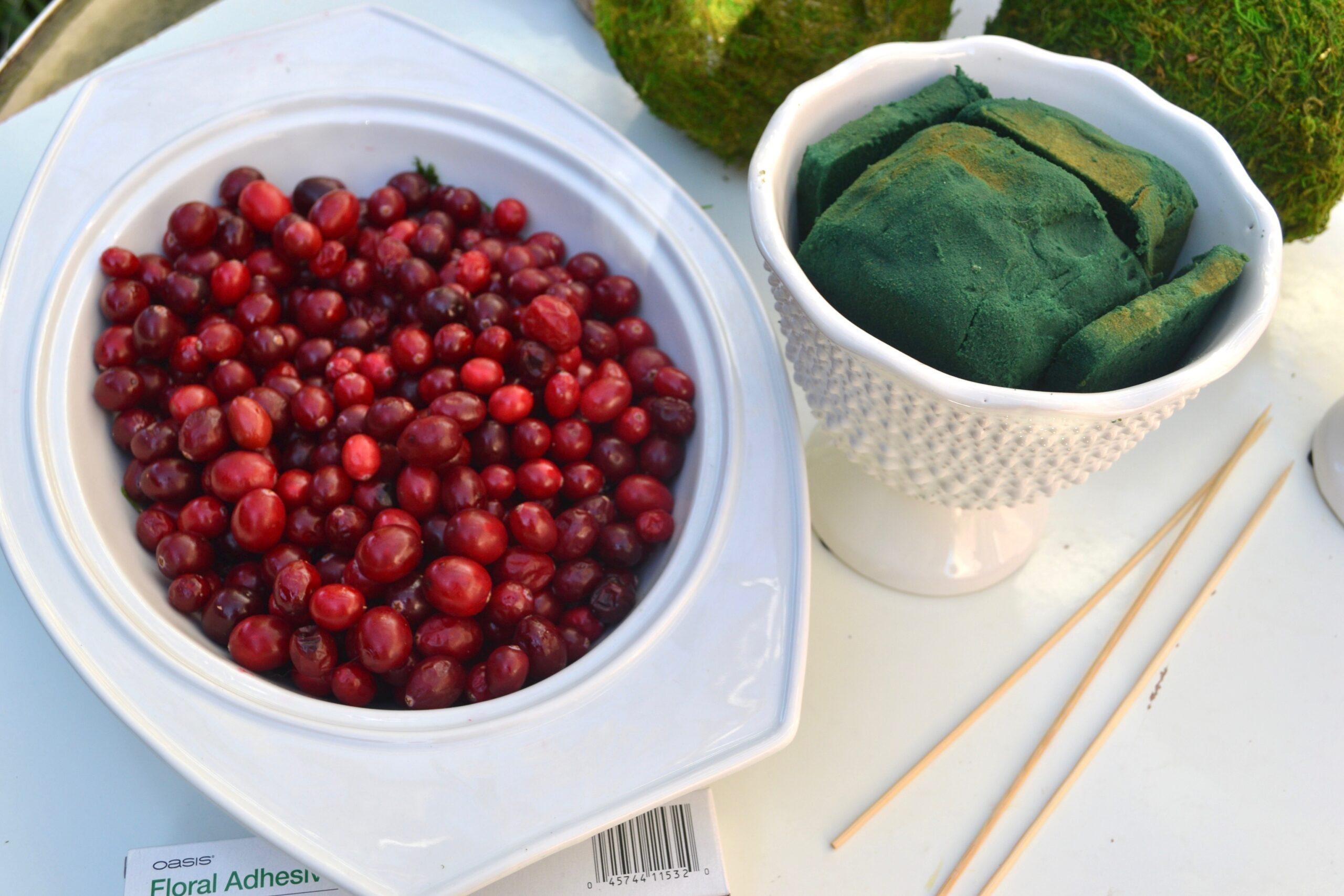 Cranberry Topiary DIY- sorting berries lizbushong.com - Liz Bushong